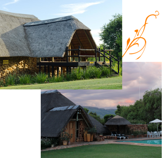 About Mokoya Lodge - a country retreat in Magaliesburg